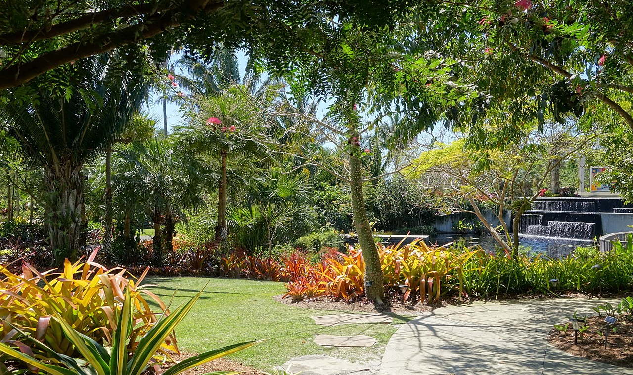 As 37 Melhores Plantas Para um Jardim Tropical Vislumbrante! - Plantas ...